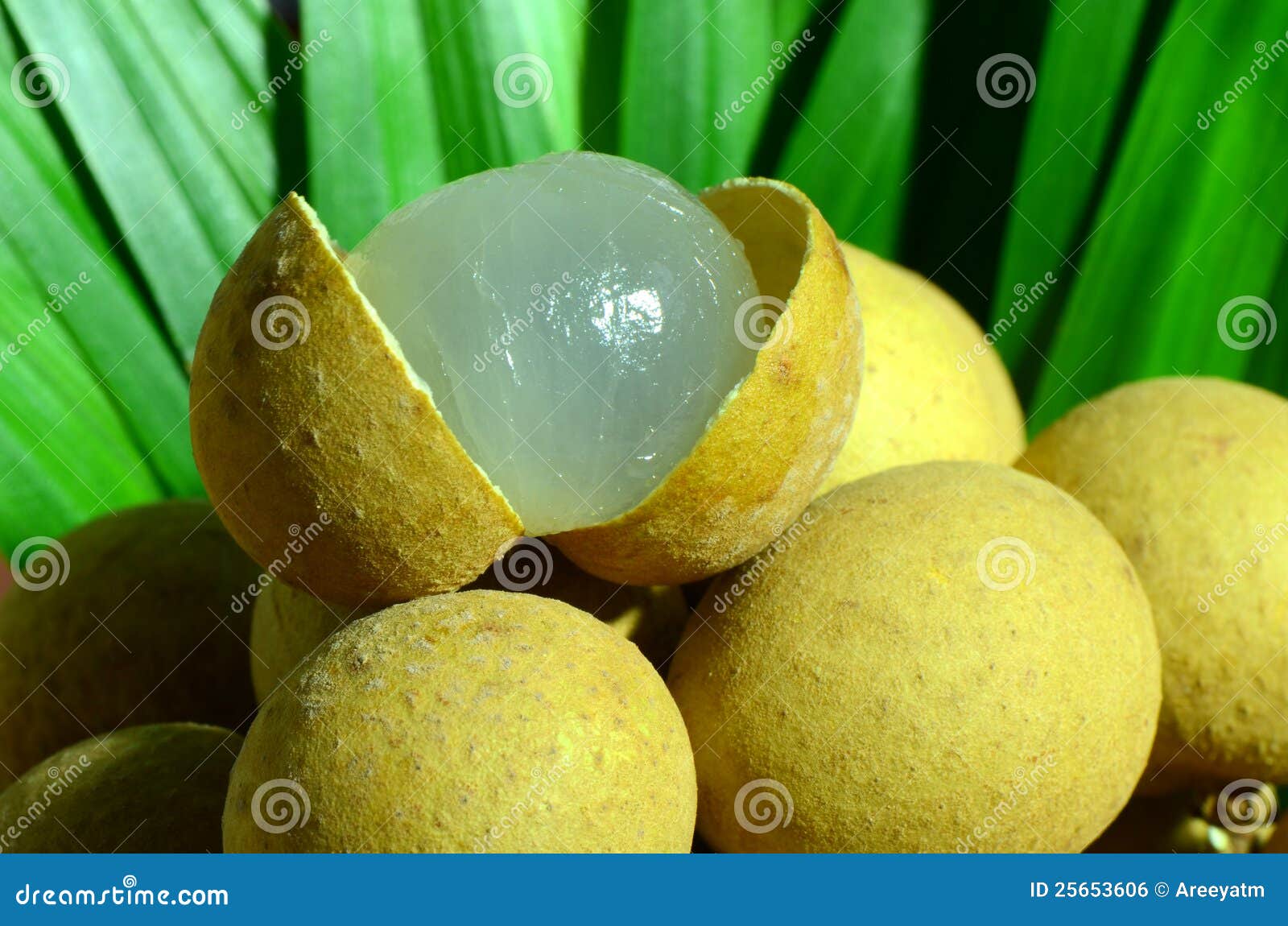 Peeled longan fruit. stock photo. Image of freshness - 25653606