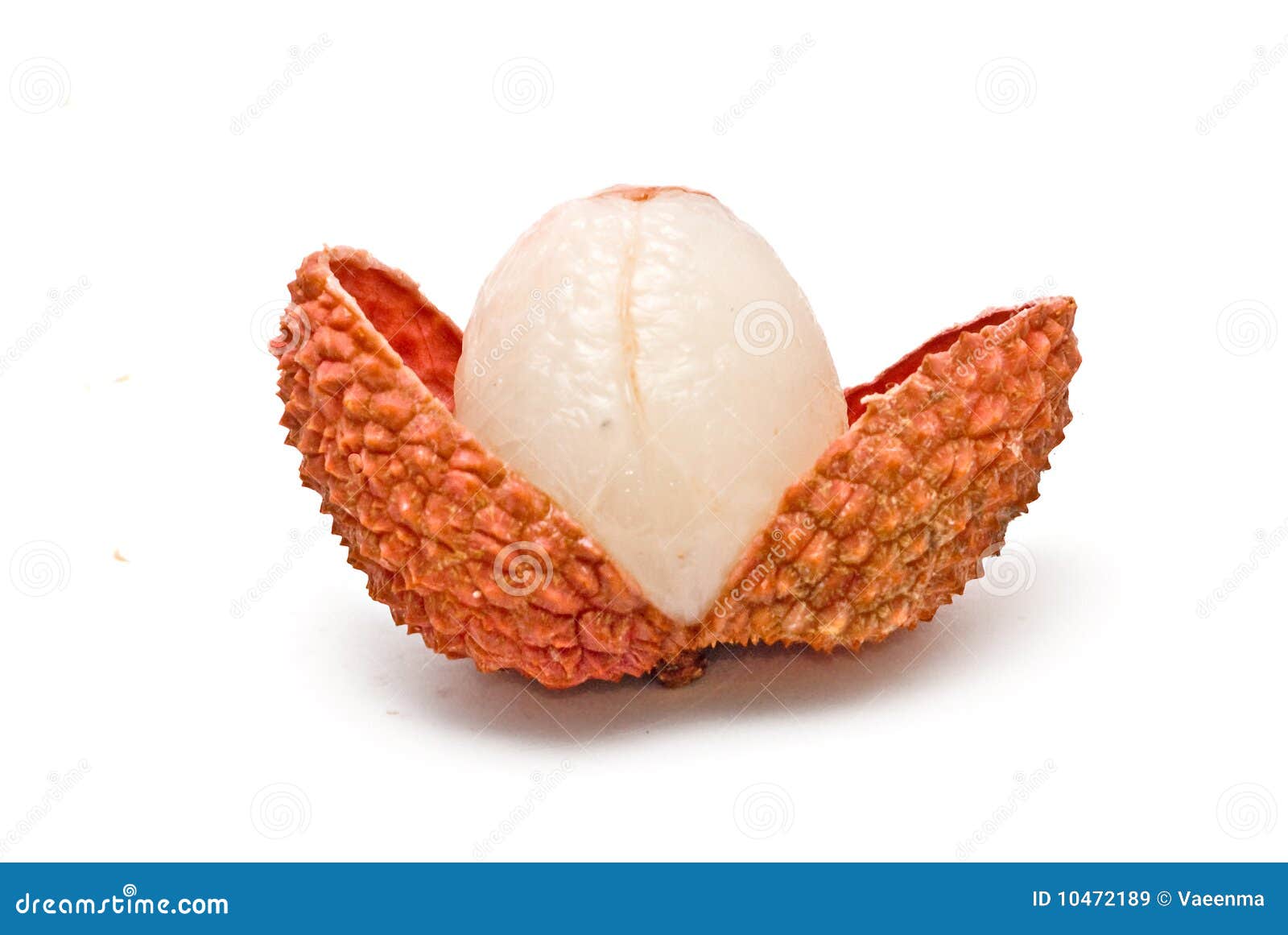 Peeled lychee stock image. Image of litchi, tropical - 10472189