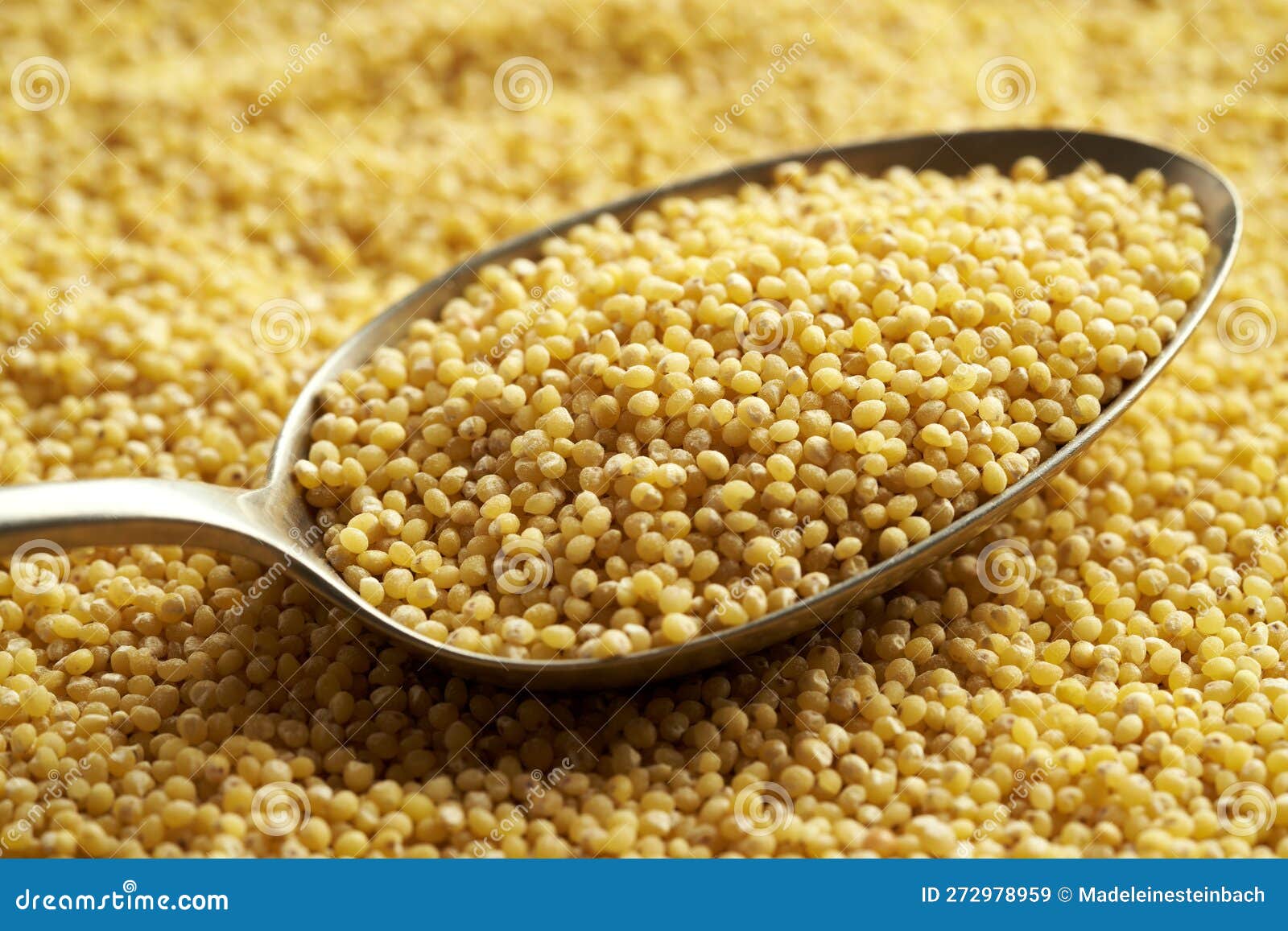 Peeled millet on a spoon stock image. Image of diet - 272978959