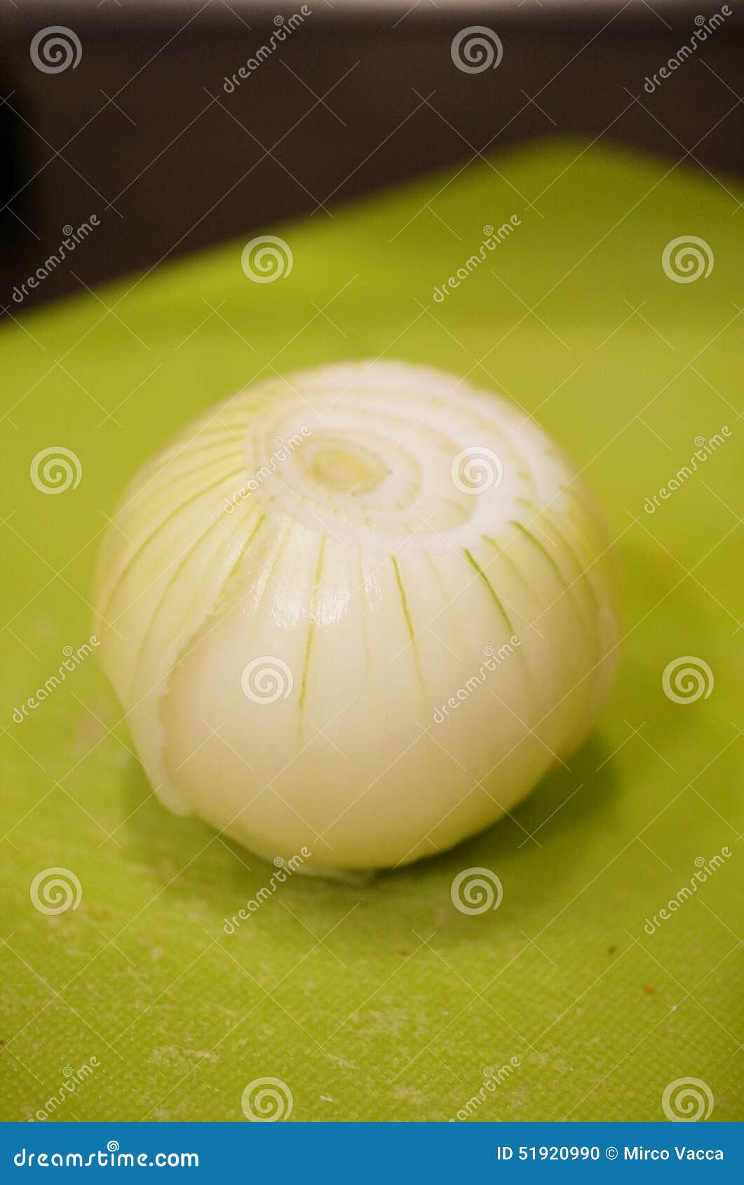 Peeled onion stock photo. Image of onion, healthy, peeled - 51920990