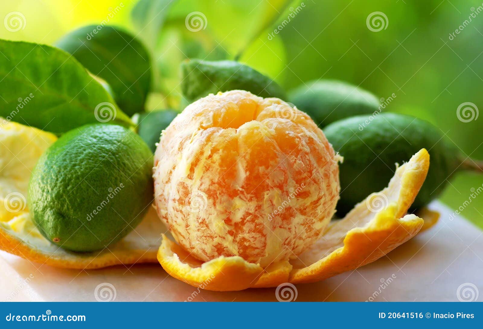 Peeled orange, and lemons stock photo. Image of color - 20641516