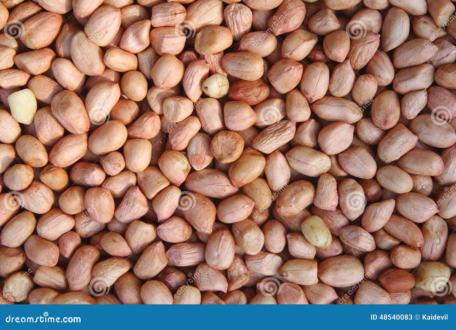 Peeled peanut stock image. Image of texture, delicious - 48540083