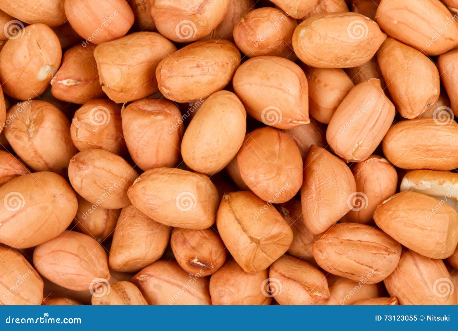 Peeled Peanuts Healthy Grains Stock Image - Image of macro, food: 73123055