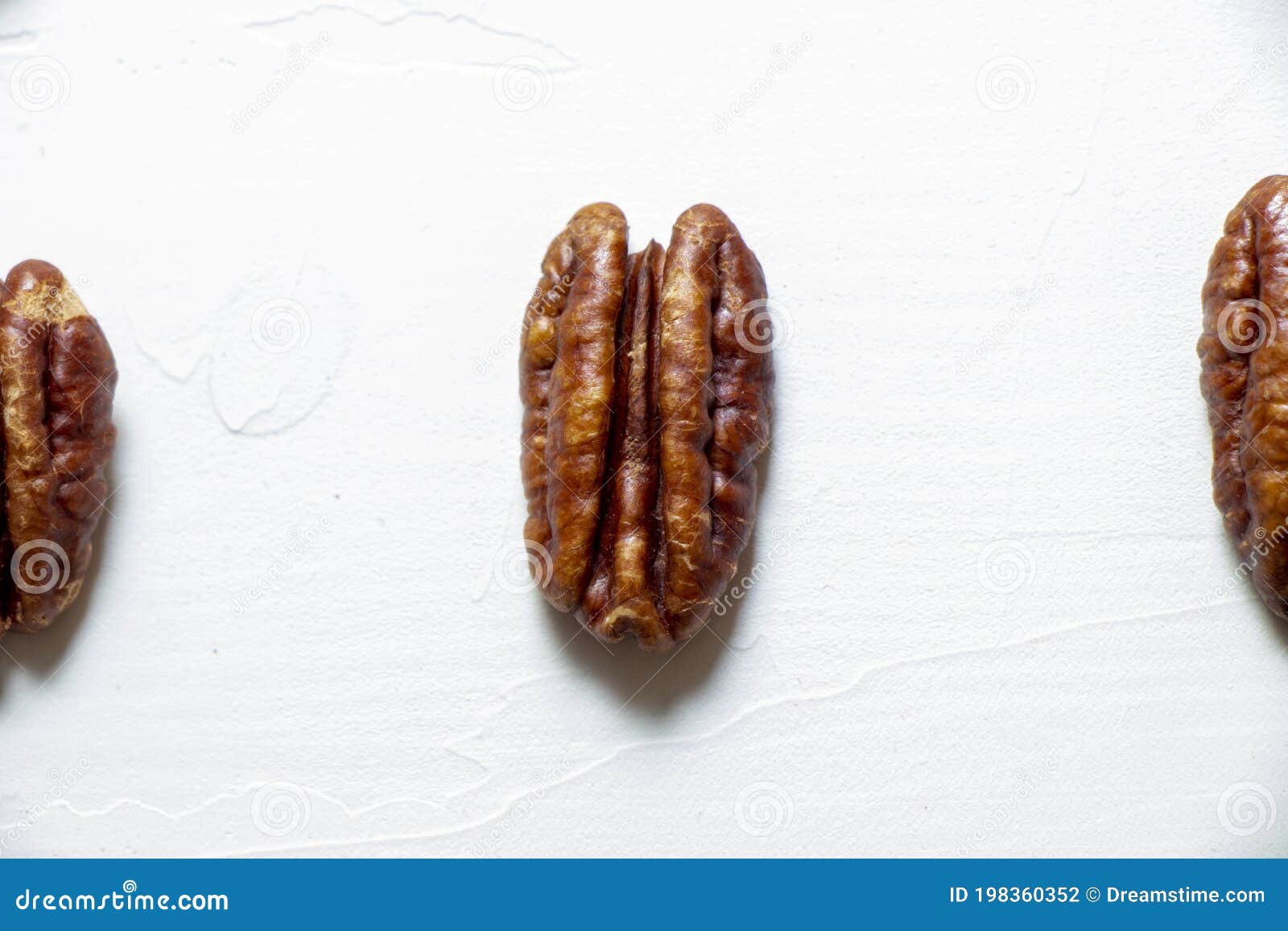 Cleared pecan stock photo. Image of background, nature - 198360352