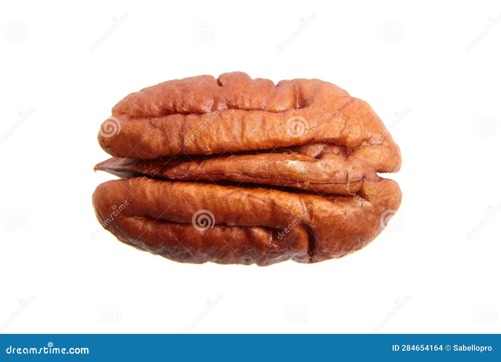 Peeled Pecan Nut Isolated on a White Background, Top View. Single Pecan ...