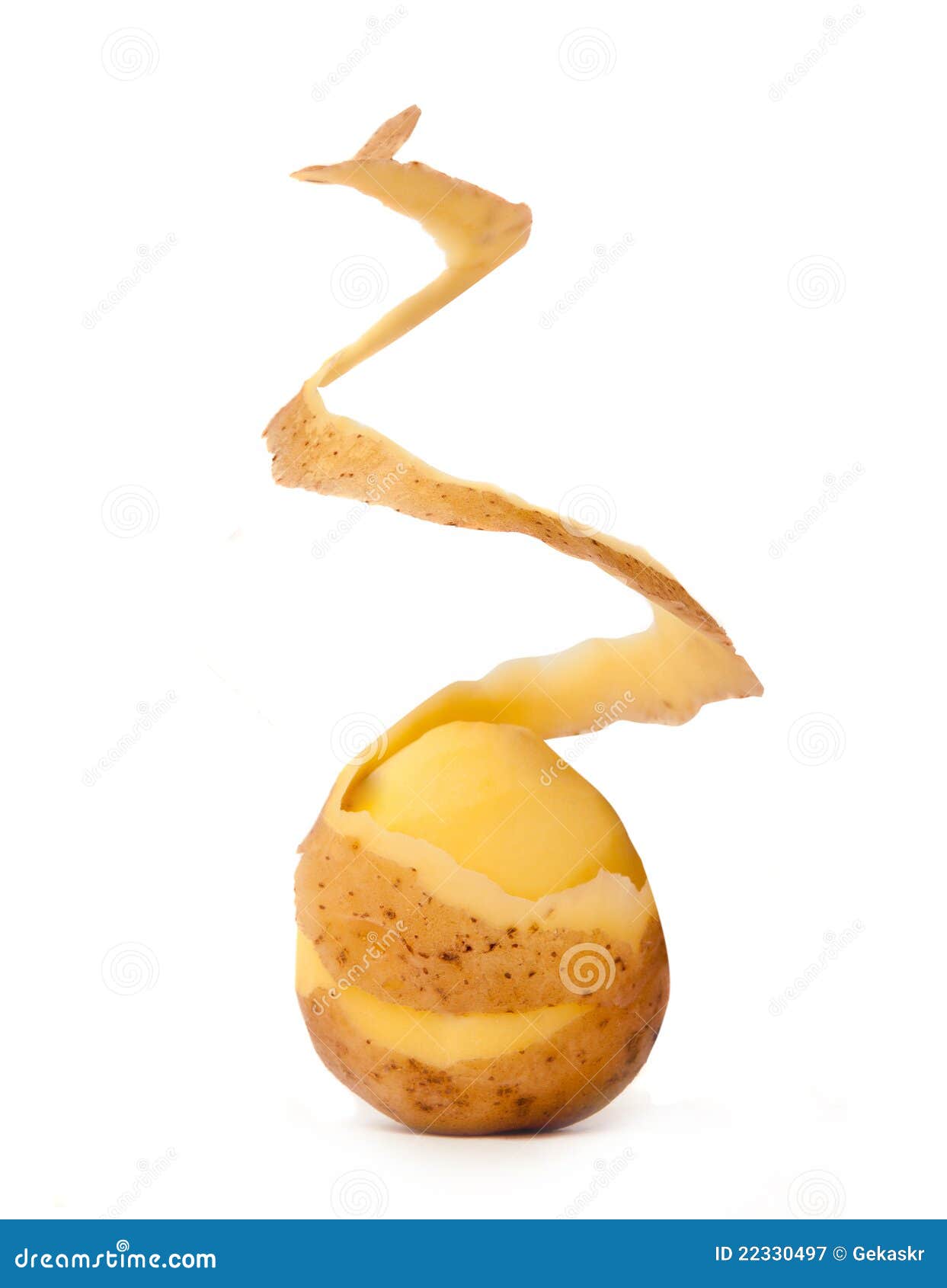 Peeled potato stock image. Image of healthy, harvest - 22330497