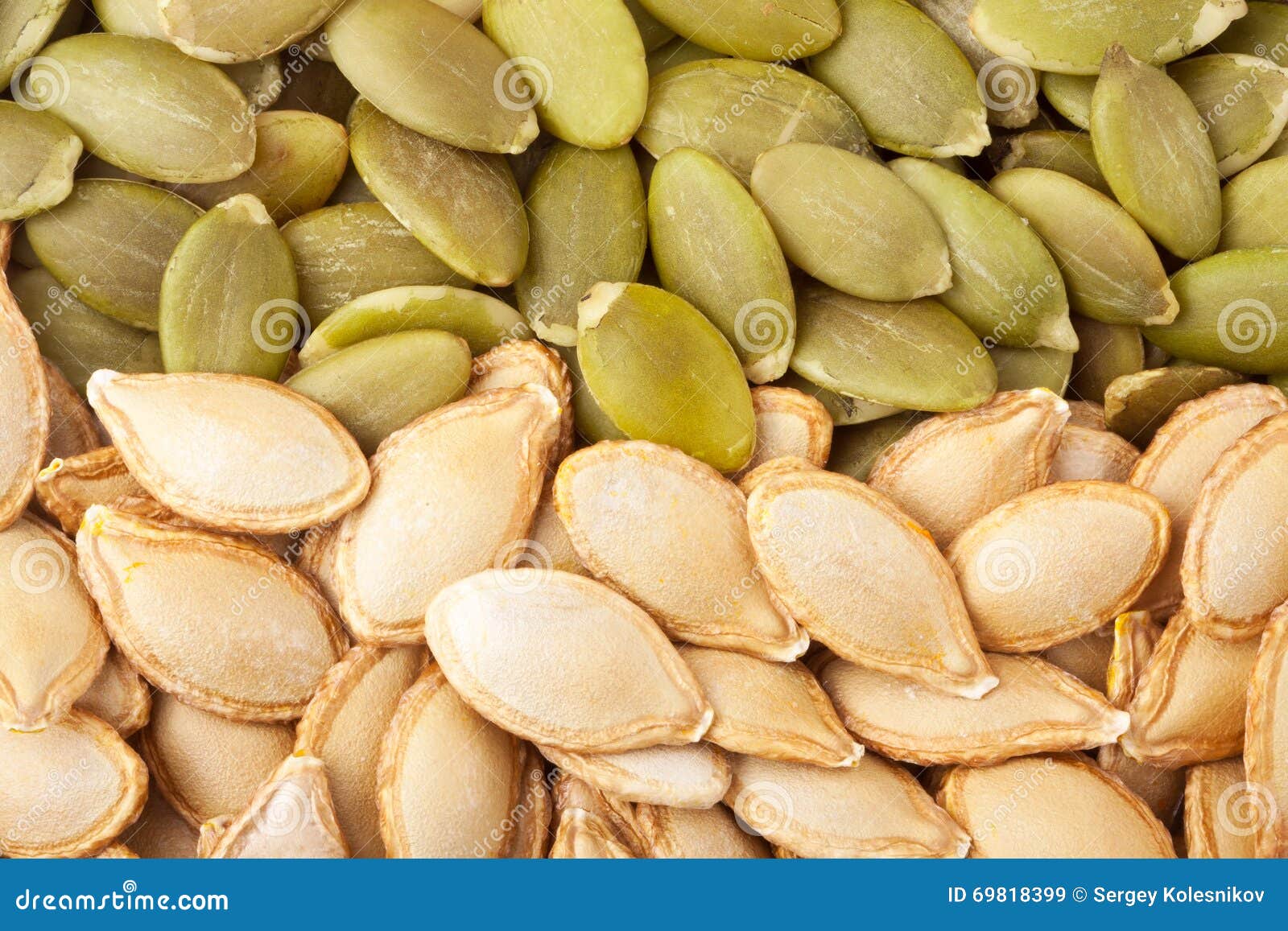 Peeled Pumpkin Seeds or Whole Background Macro Stock Image - Image of ...