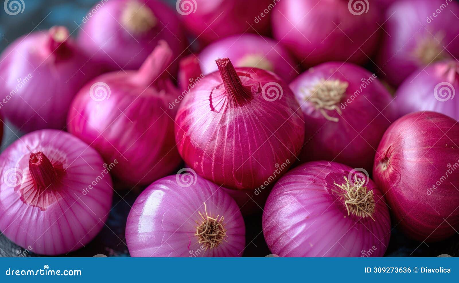 Peeled red onion top view stock illustration. Illustration of food ...