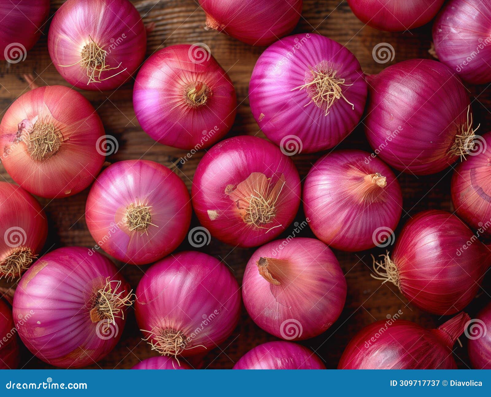 Peeled red onion top view stock illustration. Illustration of vitamin ...