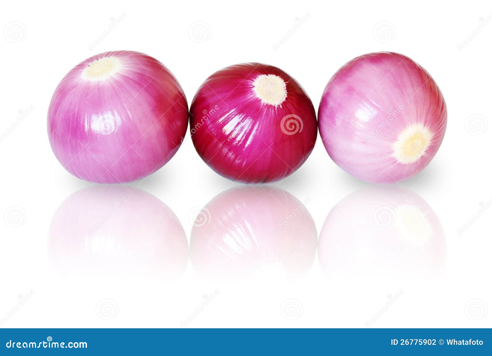 Peeled red onions stock photo. Image of isolated, road - 26775902