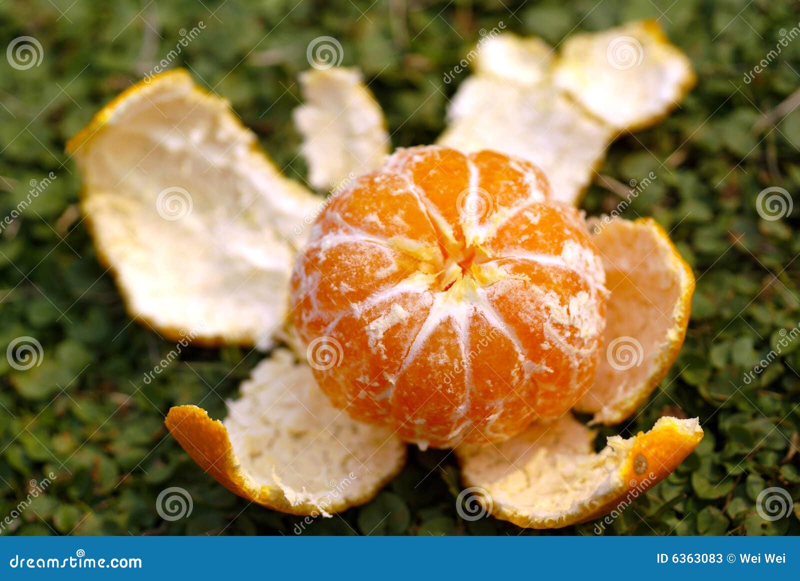 Peeled ripe orange stock image. Image of details, green - 6363083