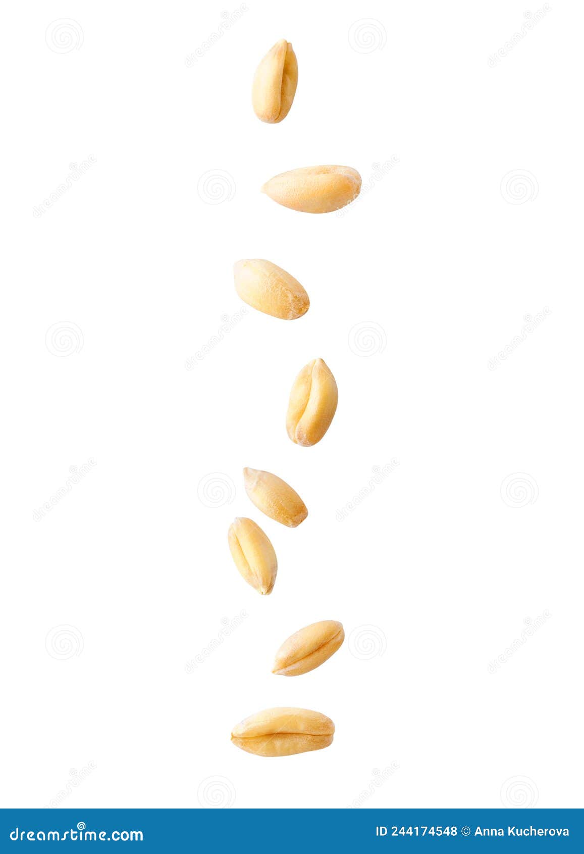 Peeled Ripe Wheat Seeds Falling Down Stock Photo - Image of falling ...