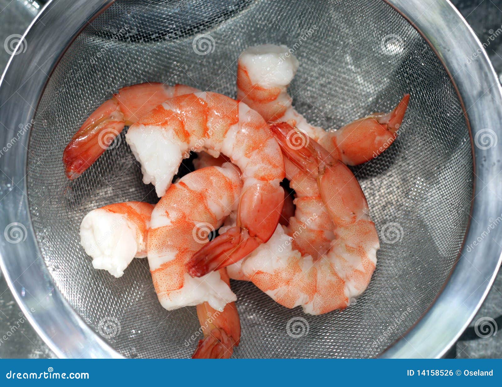 Peeled Cooked Shrimp stock photo. Image of draining, frozen - 14158526