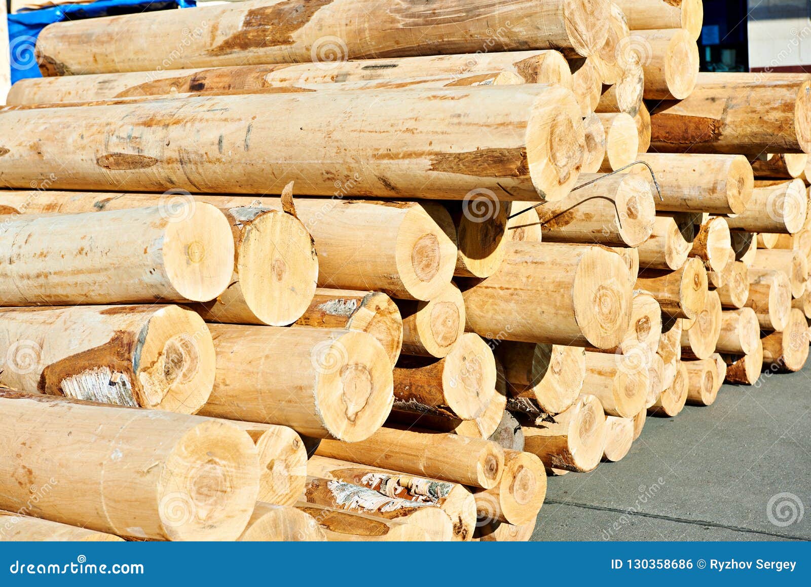 Peeled Smooth Logs at Sawmill Stock Photo - Image of texture, bark ...