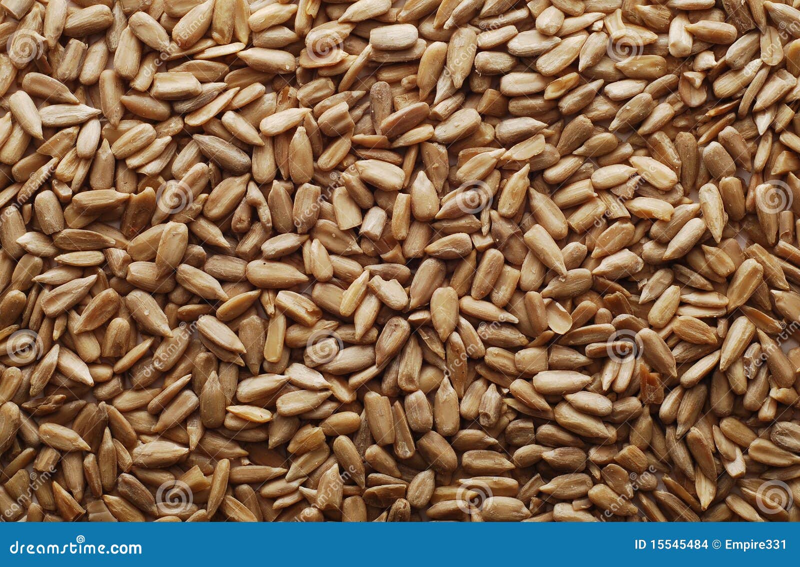 Seeds Background Royalty-Free Stock Photo | CartoonDealer.com #5336499
