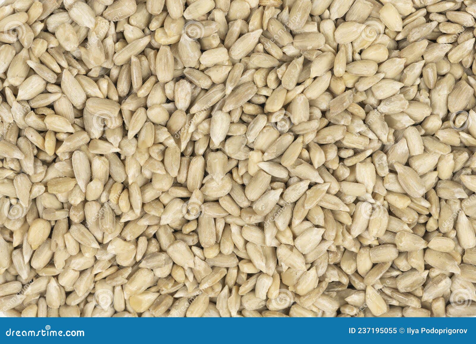 Peeled Sunflower Seeds Background Texture Stock Image - Image of grain ...