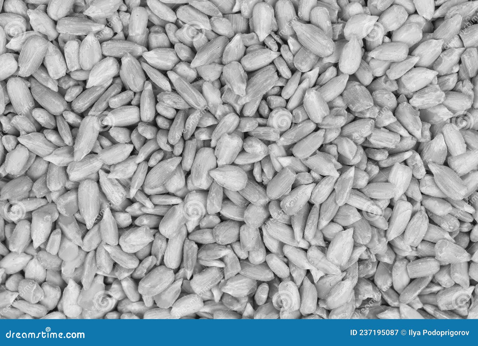 Peeled Sunflower Seeds Background Texture Stock Image - Image of ...