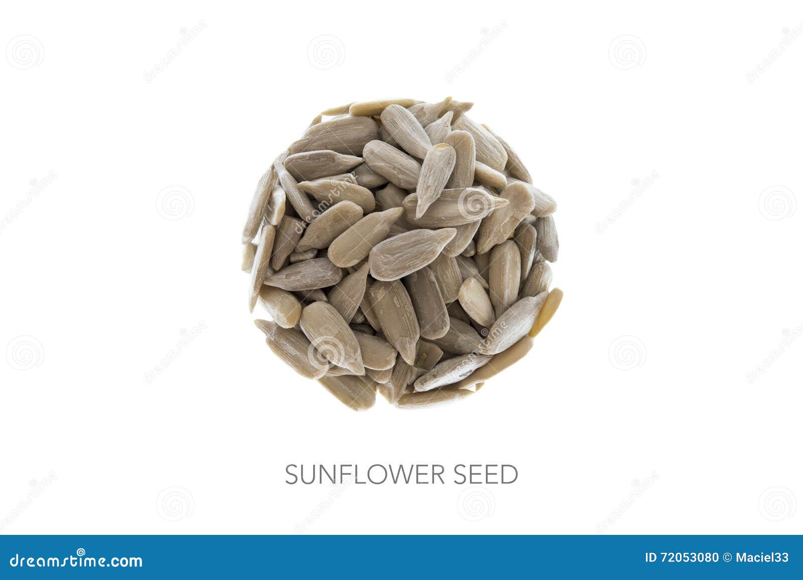 Peeled Sunflower Seeds in Shape Circle Stock Photo - Image of closeup ...