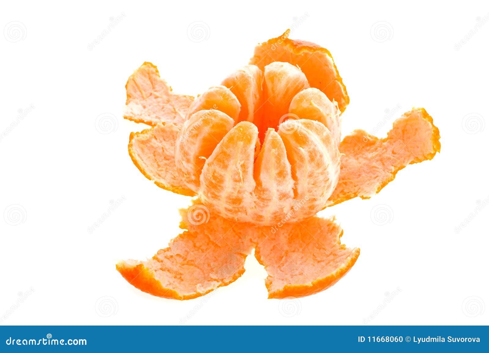 Peeled sweet clementine stock photo. Image of citrus - 11668060