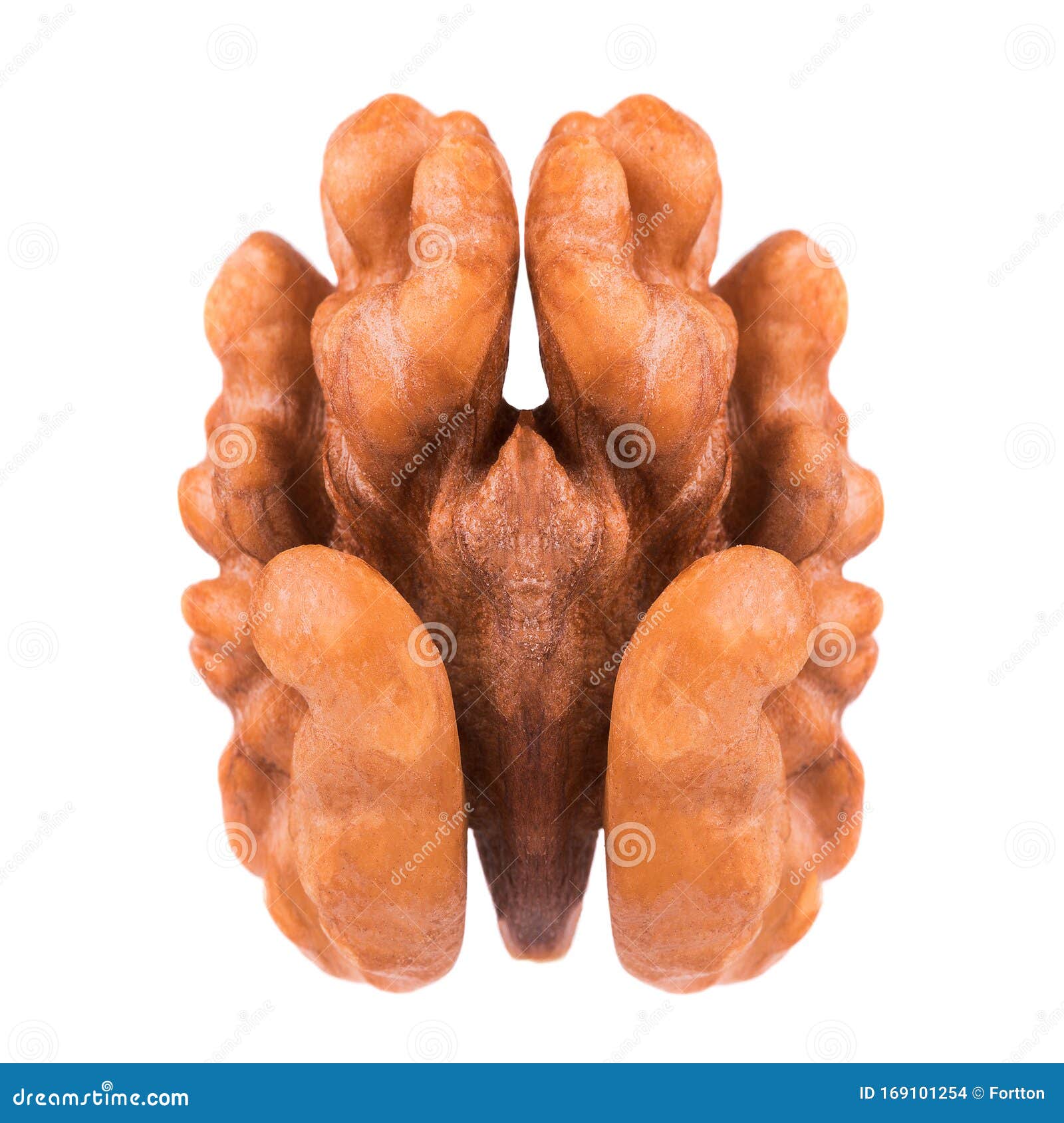 Walnut Kernel Isolate on a White Background Stock Photo - Image of ...