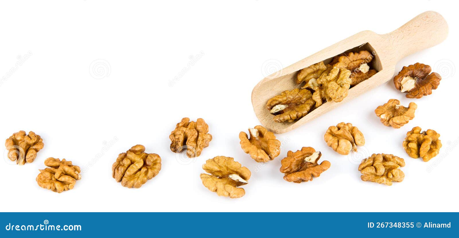 Peeled Walnut Kernels Isolated on White. Free Space for Text. Wide ...