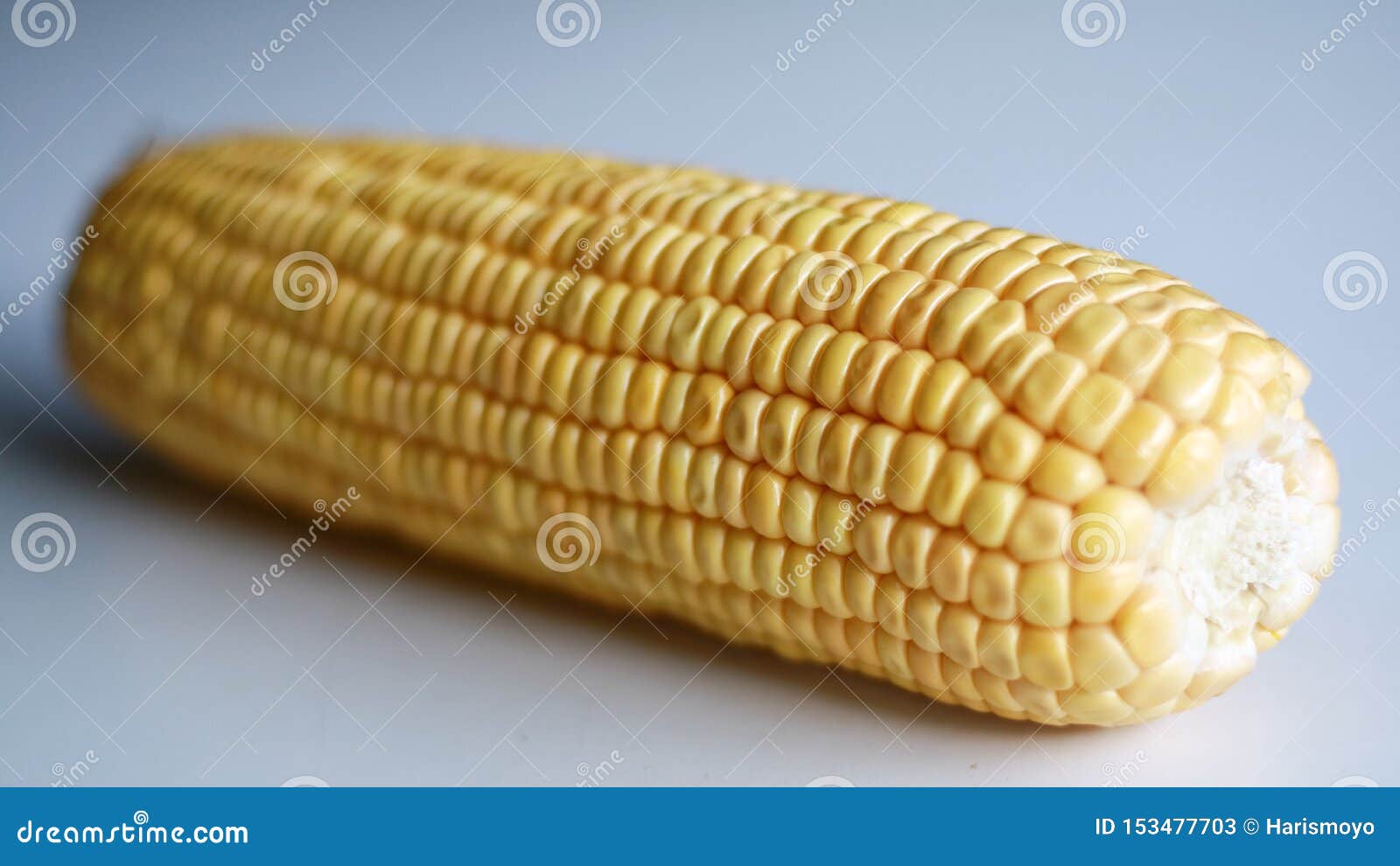 Peeled yellow corn stock image. Image of healthy, yellow - 153477703