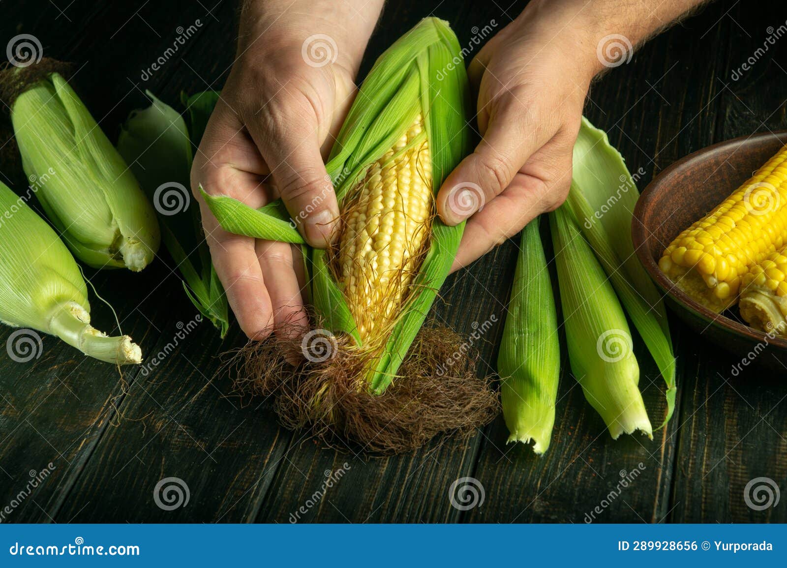 Peeling Corn from Green Husks with Hands on the Kitchen Table ...