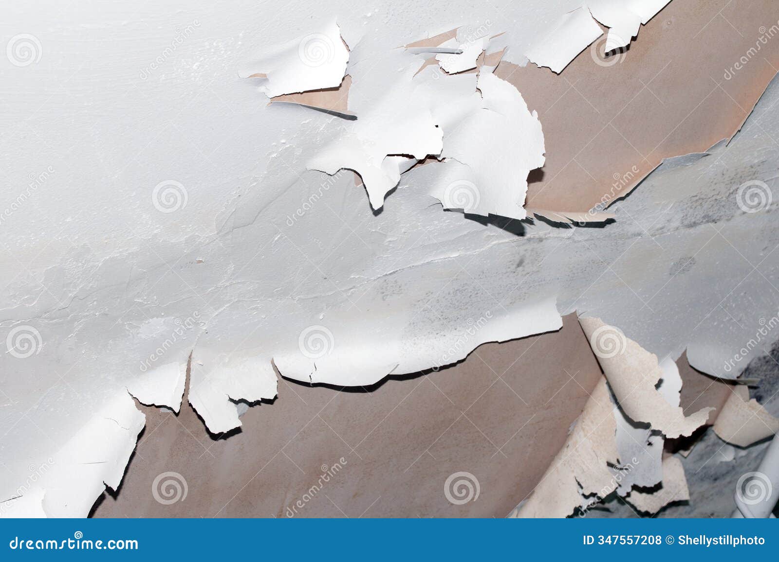 Peeling Damaged Flaking and Falling Down Paint on a Ceiling in a Damp ...