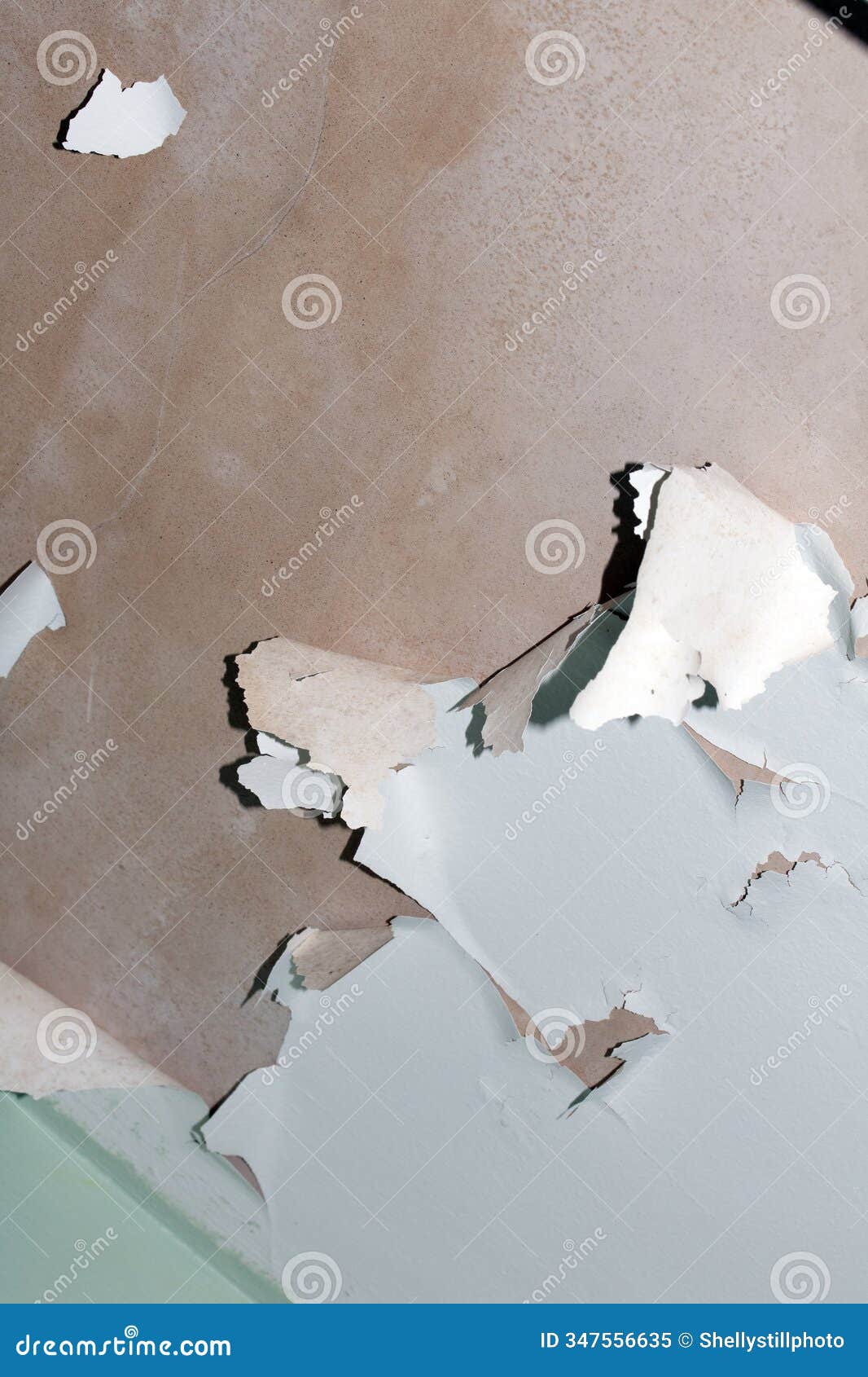 Peeling Damaged Flaking and Falling Down Paint on a Ceiling in a Damp ...
