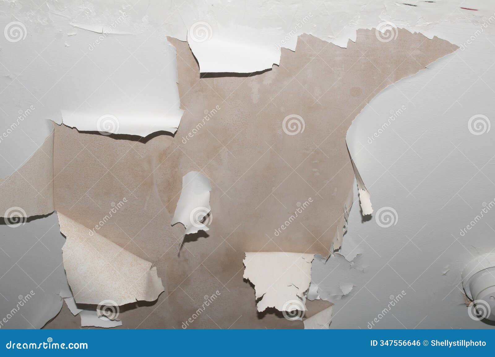 Peeling Damaged Flaking and Falling Down Paint on a Ceiling in a Damp ...