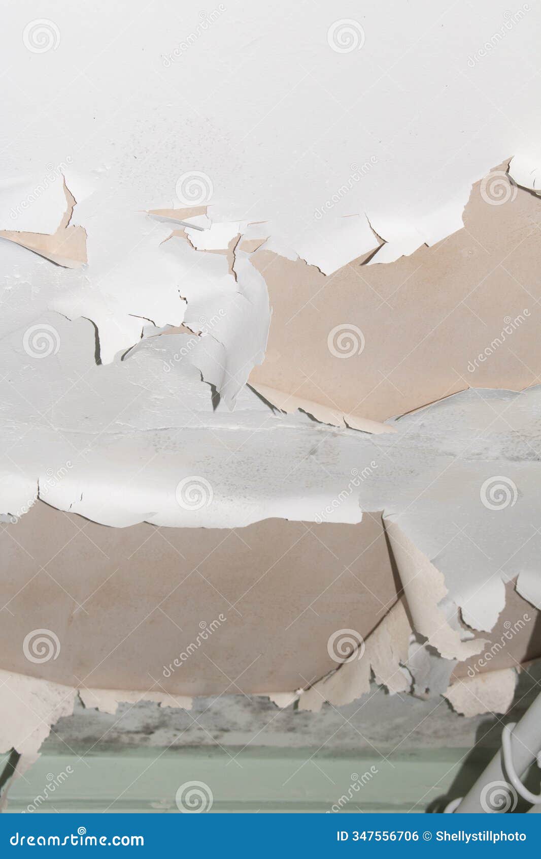 Peeling Damaged Flaking and Falling Down Paint on a Ceiling in a Damp ...