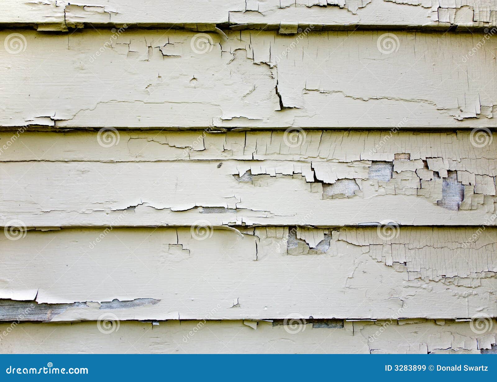 Peeling Paint On The Walls Of A Decaying Old Mansion House. Stock ...