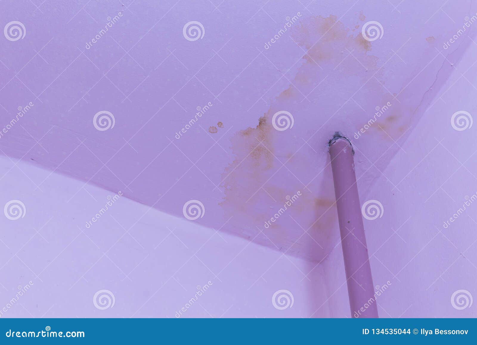 Peeling Paint on the Ceiling. Rusty Water Leaking Pipe. Repair is ...