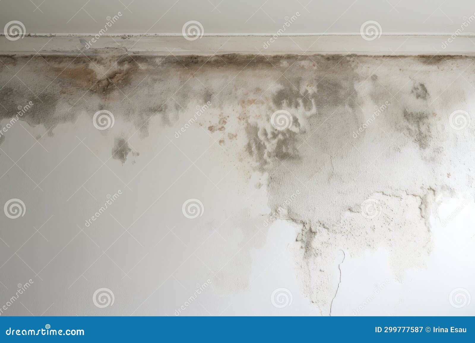 Peeling Paint and Mold on the Wall Stock Image - Image of dirty ...
