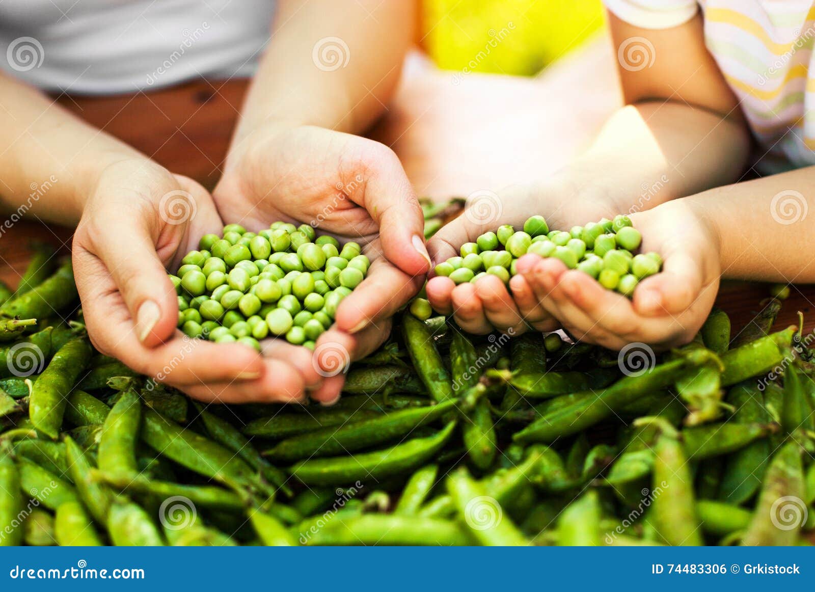 Peeling peas off stock photo. Image of close, peas, child - 74483306