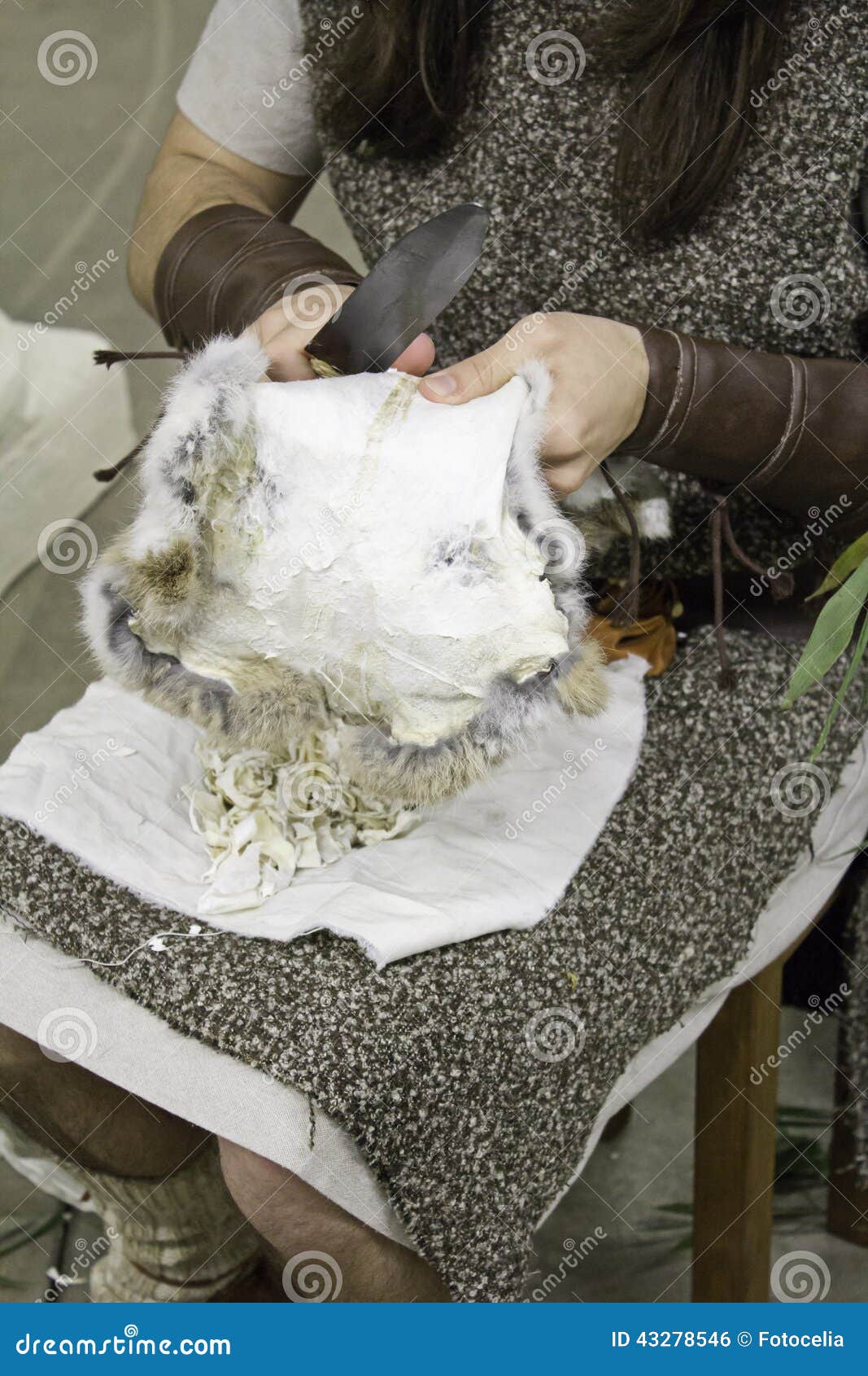 Peeling rabbit fur stock photo. Image of furrier, cutting - 43278546
