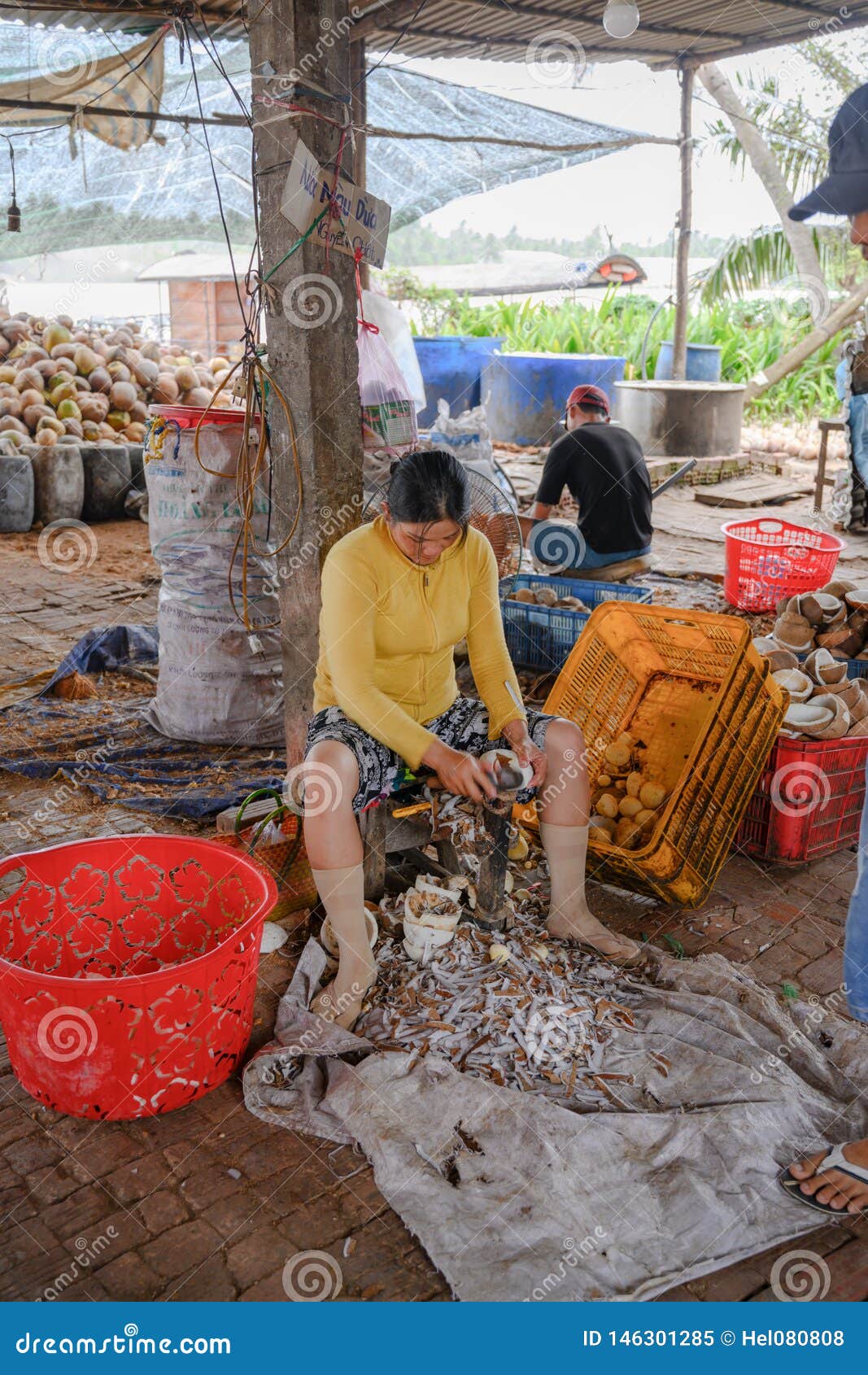 Peeling and Scraping the Coconut in Factory for Burning. Editorial ...