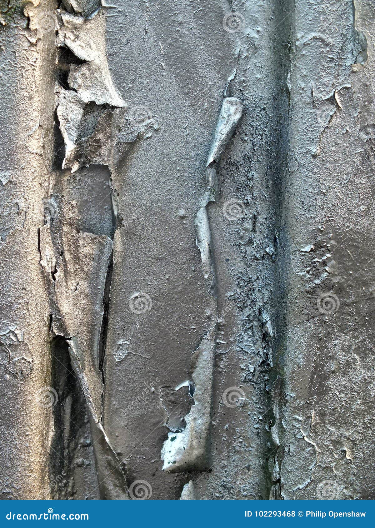 Peeling Silver Paint on an Old Rusting Metal Surface Stock Photo ...