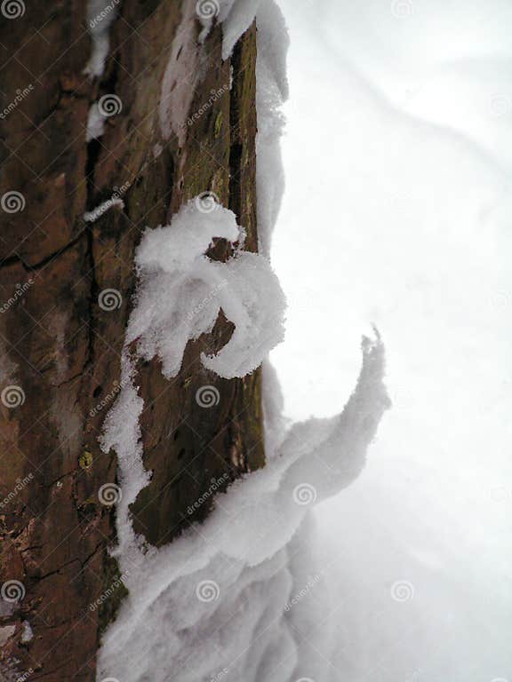 Peeling snow stock image. Image of detail, close, environment - 28411109