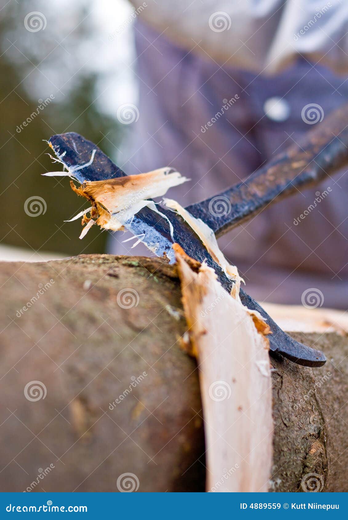 Peeling Wood stock image. Image of process, logs, tool - 4889559