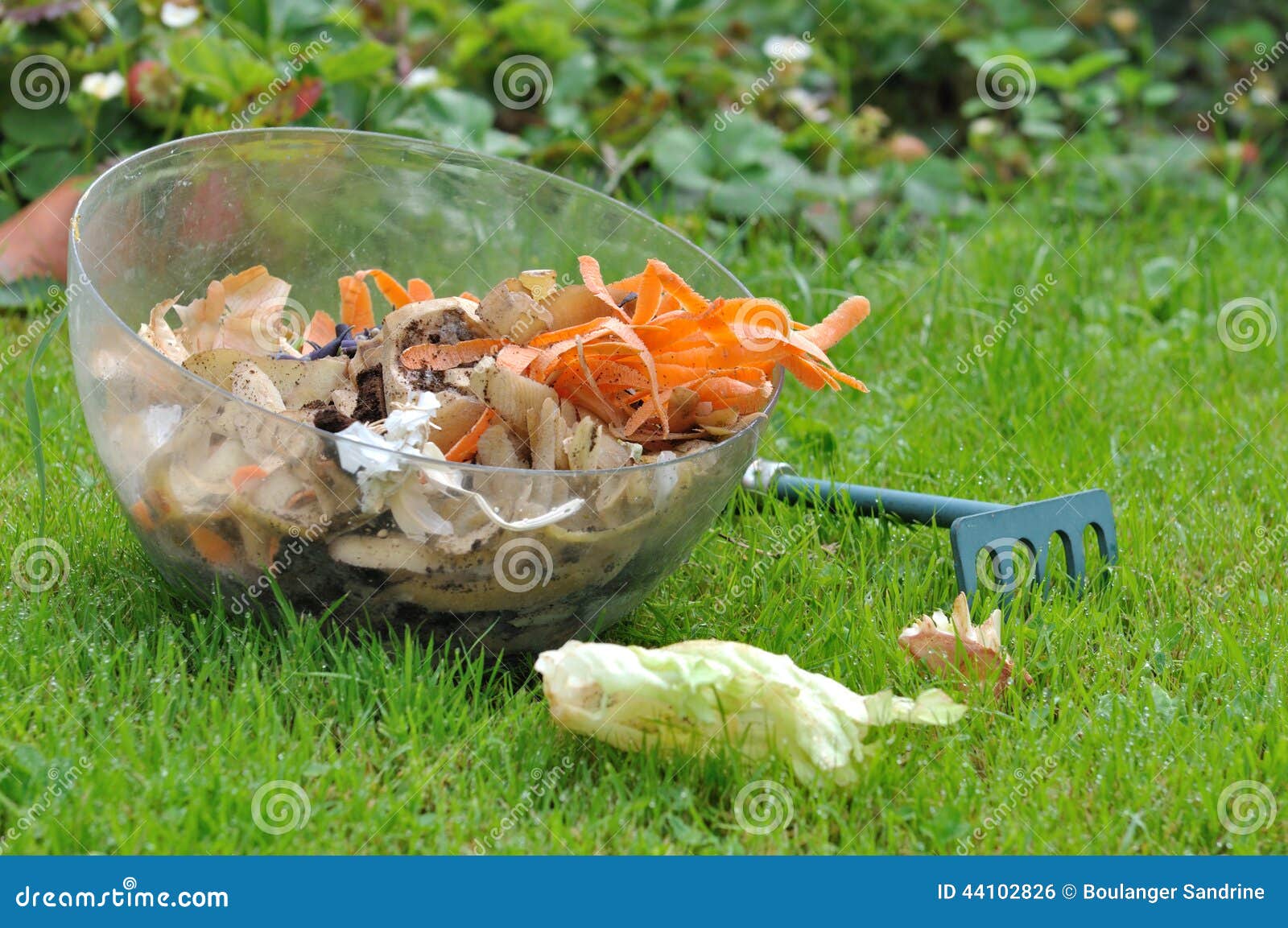 Peelings for compost stock photo. Image of compost, garden - 44102826