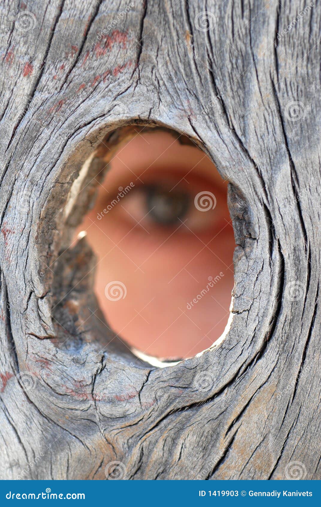 Peeper (2) stock image. Image of looking, watching, espionage - 1419903