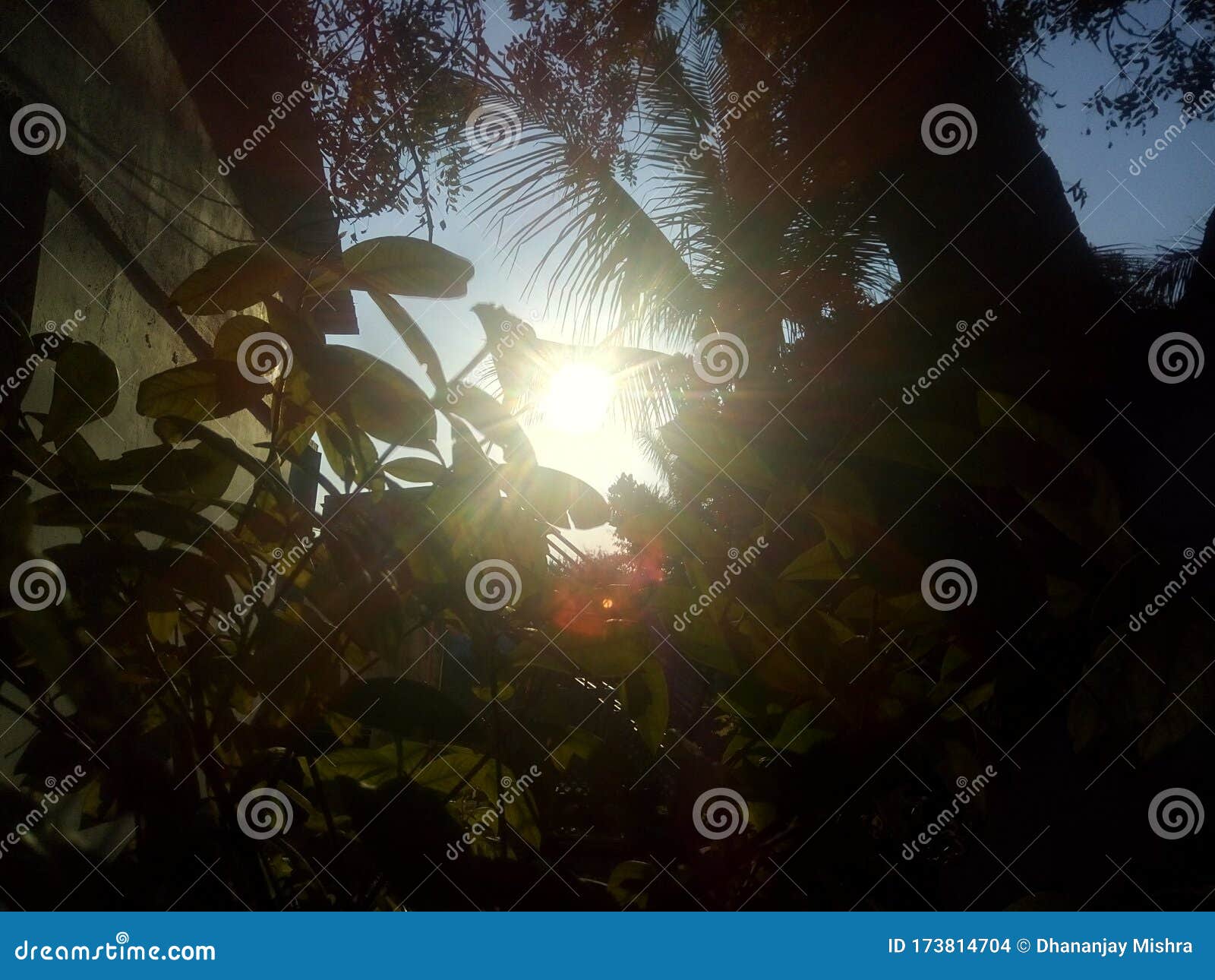 The peeping sun stock photo. Image of coolpic, morning - 173814704