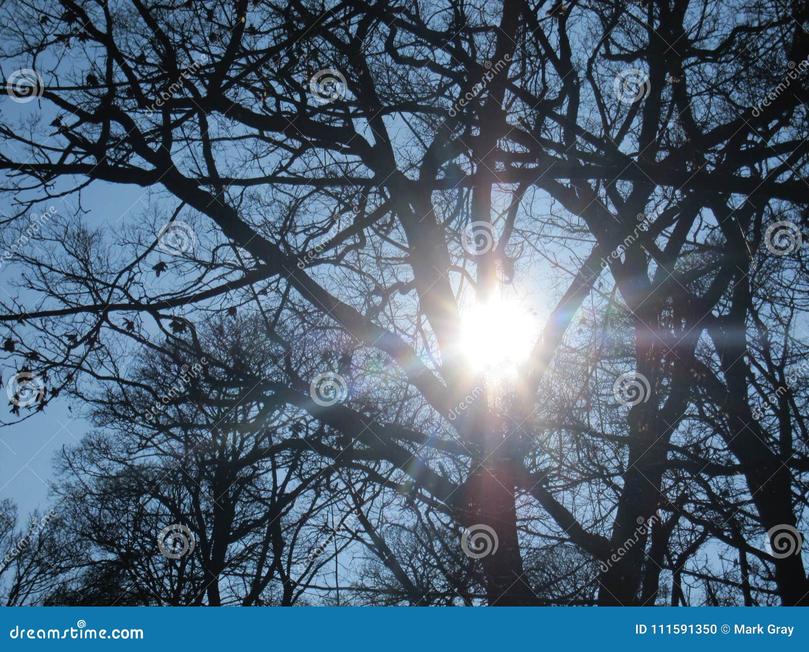 Peeping Sun stock photo. Image of sunrays, bright, peeping - 111591350