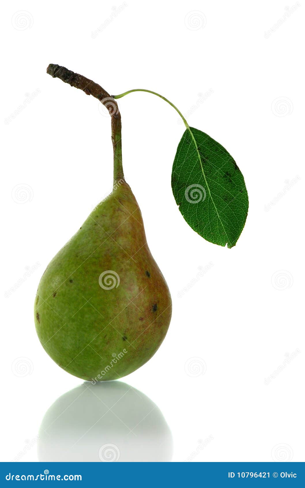 Peer stock afbeelding. Image of tuinieren, geïsoleerd - 10796421