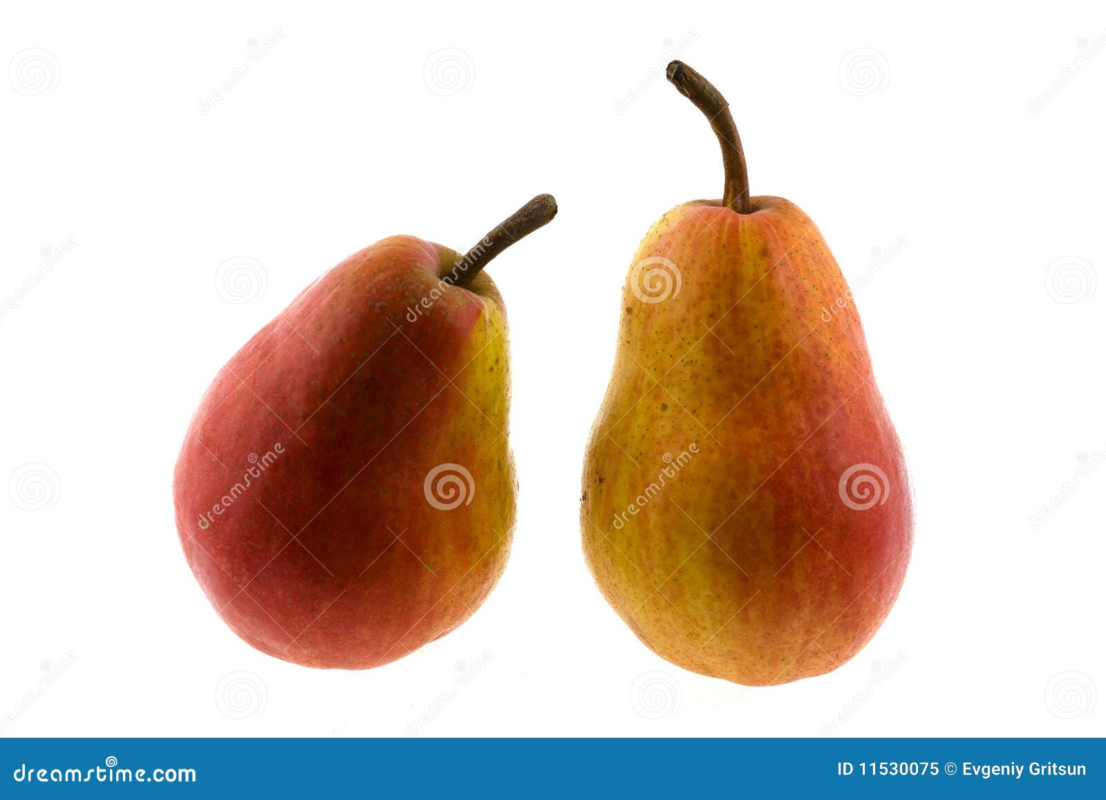 Peer stock afbeelding. Image of maaltijd, gewas, boom - 11530075