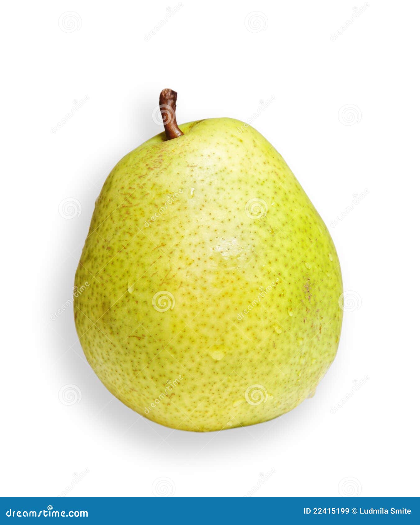 Peer. stock afbeelding. Image of sappig, water, vrucht - 22415199