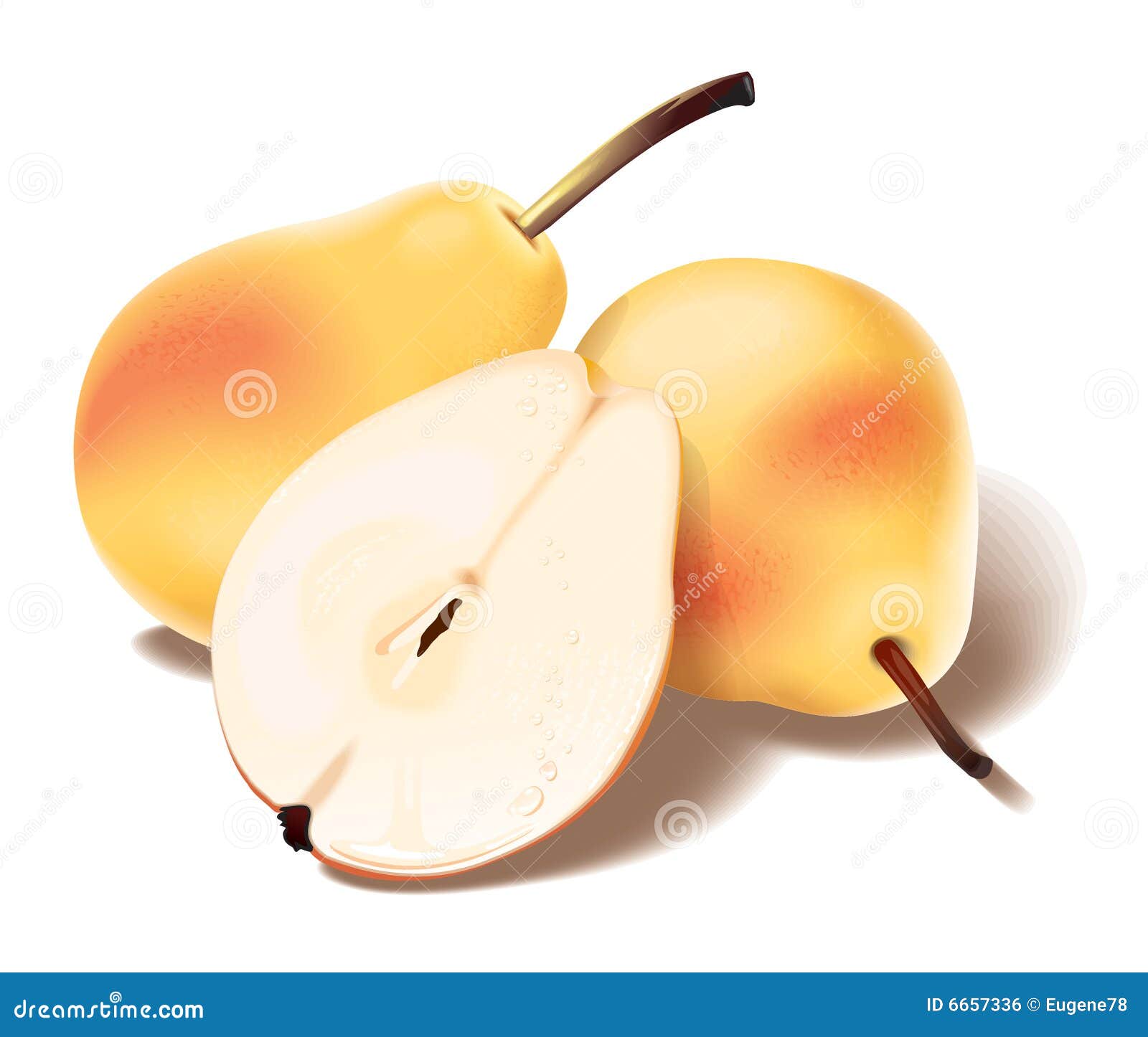 Peer vector illustratie. Illustration of geel, besnoeiing - 6657336