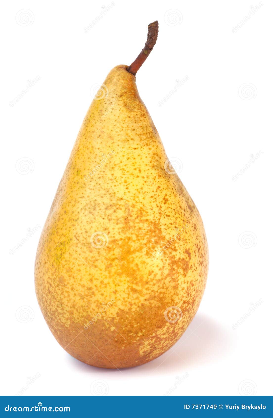 Peer stock afbeelding. Image of organisch, eten, helder - 7371749