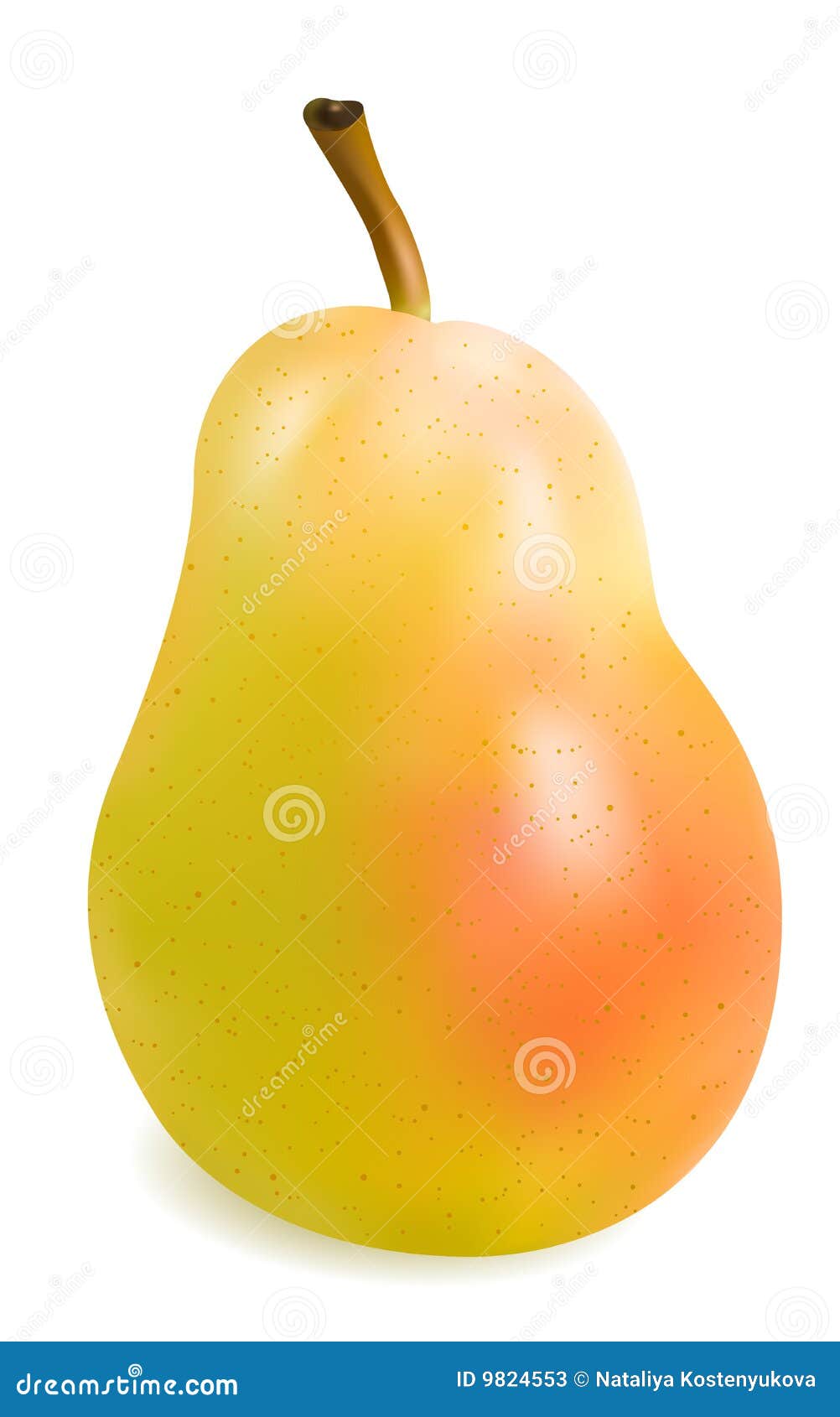 Peer vector illustratie. Illustration of schilderij, levensstijl - 9824553